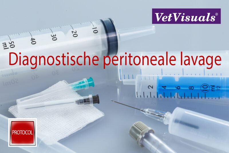 Diagnostische peritoneale lavage Archives - VetVisuals® Shop